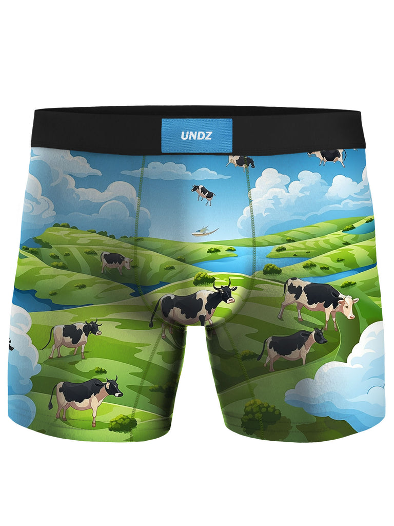Undz Classic Flying Cows Boxer Fall 2024 | EMPIRE