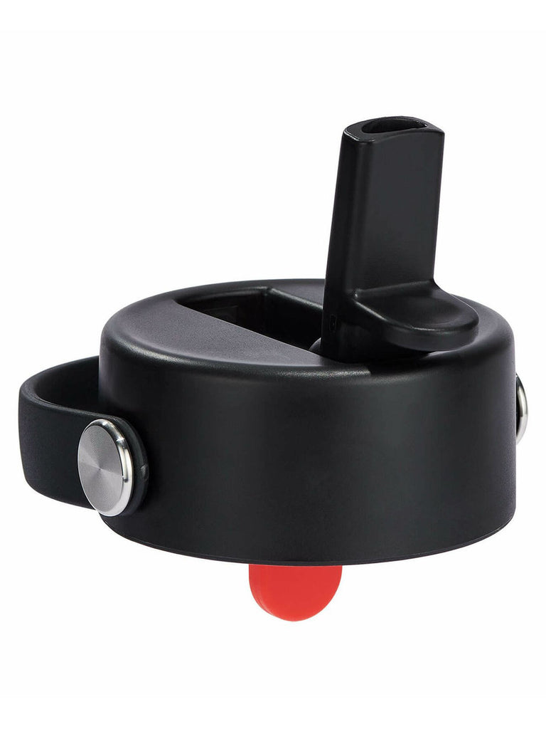 Hydro Flask 24oz Oat Wide Mouth with Flex Straw Cap Bottle Fall 2024 ...